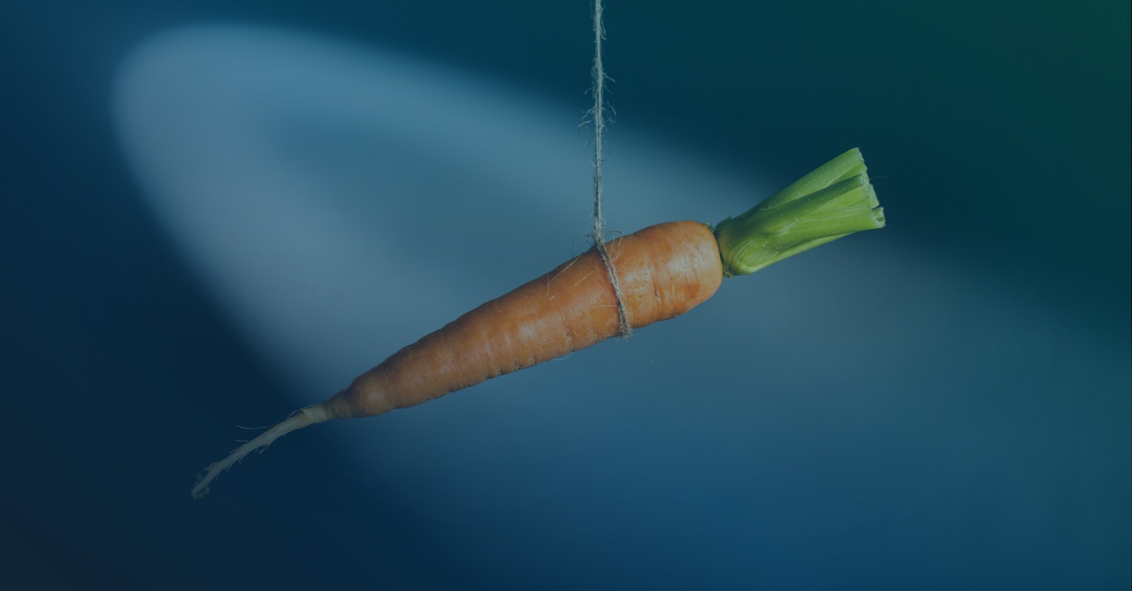 8 Critical Actions to Enjoy the Carrot & Avoid the Stick of DOJ’s ...