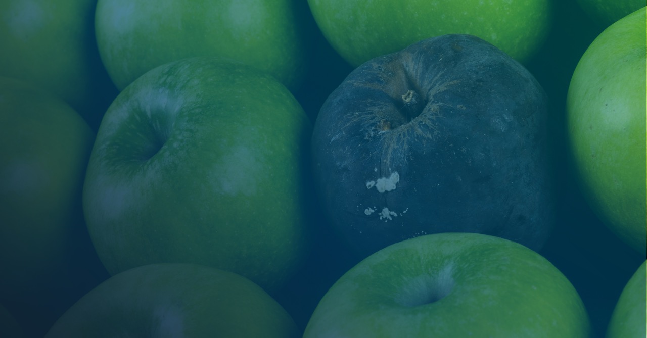 How Is Fraud Being Perpetrated In Your Organization? - StoneTurn